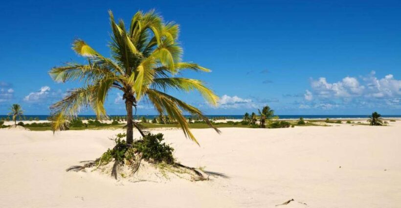 Aracaju: Tour to Mangue Seco - FAQs