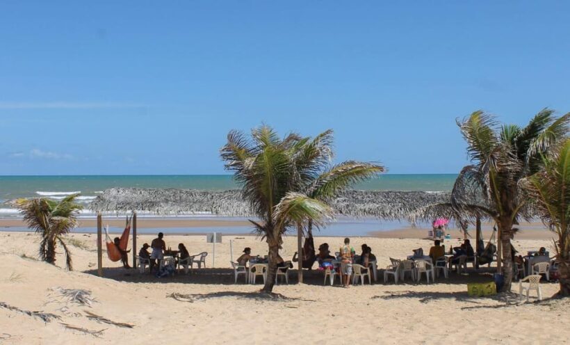 Aracaju: Tour to Saco Beach - What is the Tour to Saco Beach?