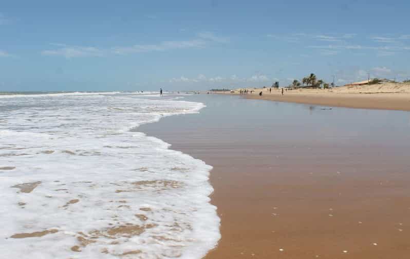 Aracaju: Tour to Saco Beach - Introduction: Why a Day at Praia do Saco Makes Sense