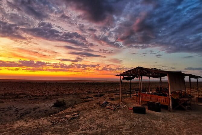 Aral Sea Adventures (2 day) - Detailed Breakdown of the Itinerary