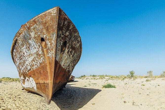 Aral Sea One Day Tour from Tashkent - Key Points