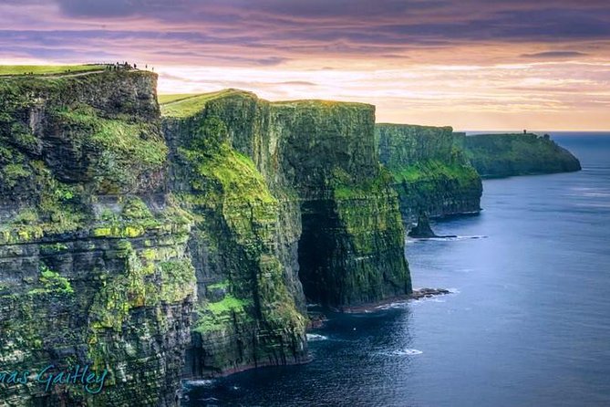 Aran Island, Cliffs of Moher & Cruise Tour From Galway. Guided. - Traveler Experiences and Feedback