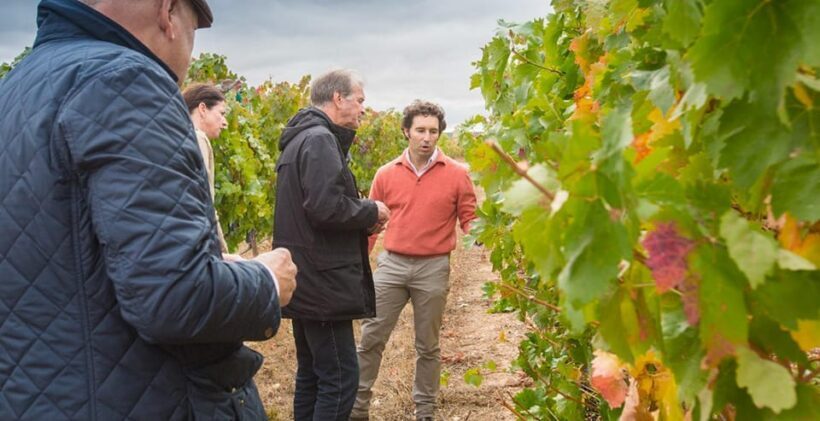 Aranda de Duero: Martín Berdugo Winery - Tour and Tasting - A Close Look at the Martín Berdugo Winery Tour