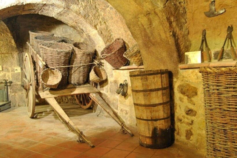 Aranda de Duero: Tour of Underground Cellar and Wine Museum - An In-Depth Look at the Experience