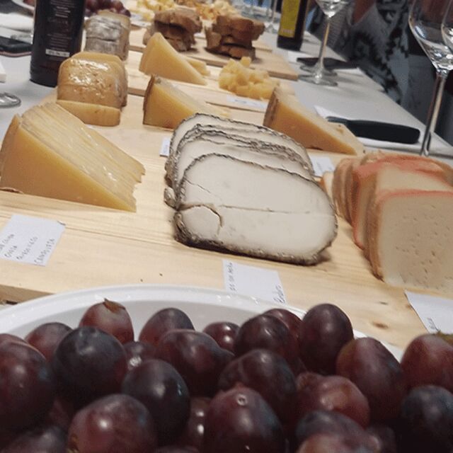 Aranda de Duero: Wine Pairing Tasting Course & Mini Tapas - An In-Depth Look at the Experience