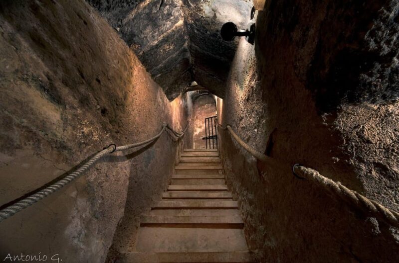 Aranda de Duero: Wine Tasting Course with Iberian Tasting - Authentic Feedback from Participants