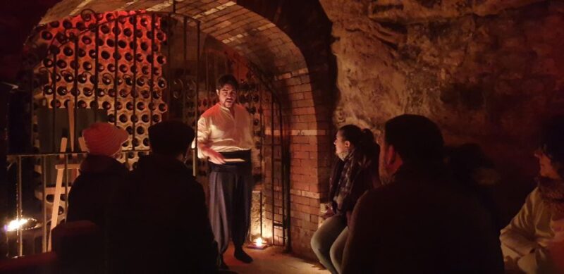 Aranda de Duero: Wine Tasting Course with Iberian Tasting - Final Thoughts: Is It Worth It?