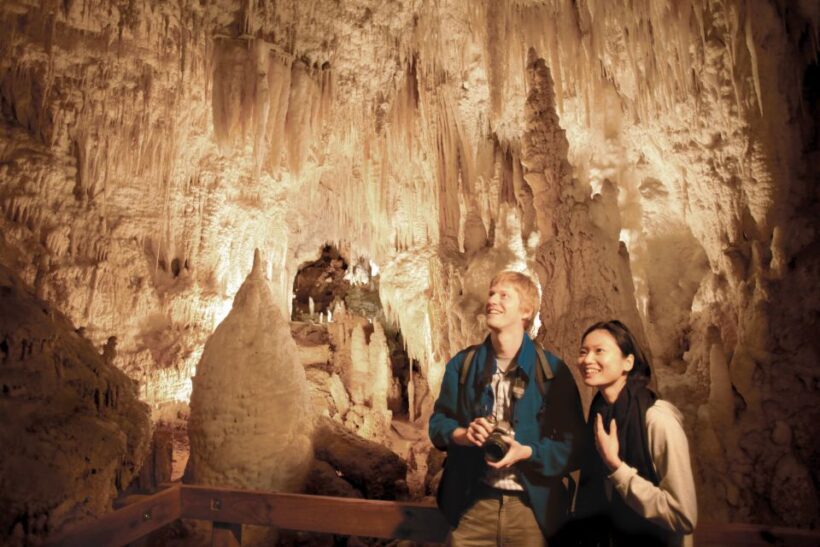 Aranui Cave 1-Hour Guided Tour - Key Points
