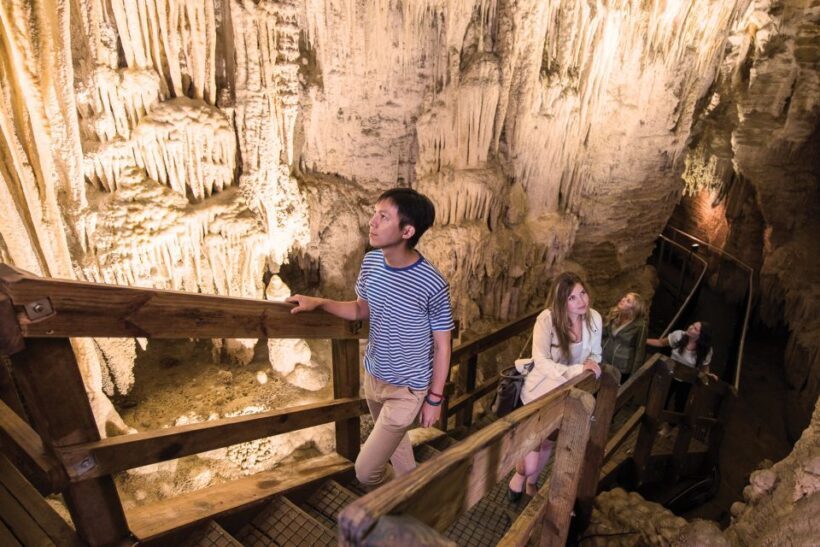 Aranui Cave 1-Hour Guided Tour - Why This Tour Is Worth Considering