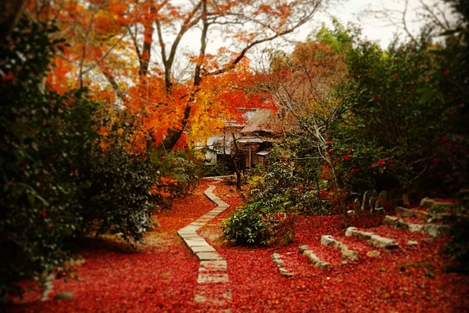 Arashiyama Bamboo Forest & Hidden Gems Bike Tour (Early Bird) - Scenic Highlights