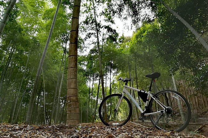 Arashiyama Bamboo Forest & Hidden Gems Bike Tour (Early Bird) - Participant Details