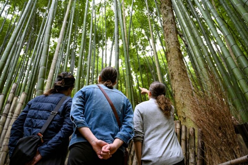 Arashiyama: Bamboo Grove and Temple Tour - Exploring Okochi Sanso Villa