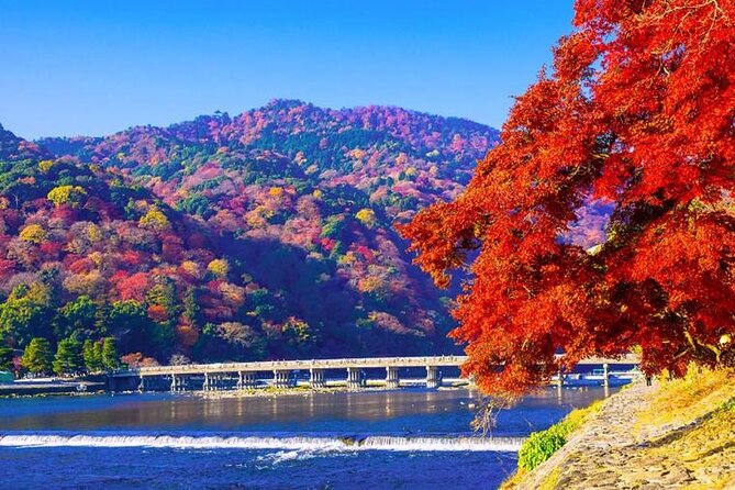 Arashiyama Bamboo & Must See Gardens With an Amazing Guide - Meeting and Pickup