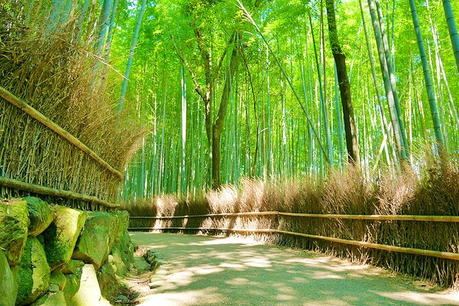 Arashiyama Bamboo & Must See Gardens With an Amazing Guide - Cancellation and Booking Policy