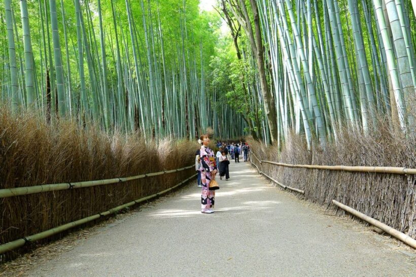 Arashiyama Highlights with Matcha Experience - Practical Tips for Participants