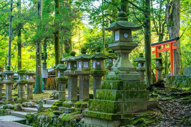 Arashiyama & Nara Highlights: One-Day Private Tour Adventure - Personalized Guiding and Photography
