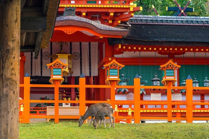 Arashiyama & Nara Highlights: One-Day Private Tour Adventure - Dining and Dinner Reservations