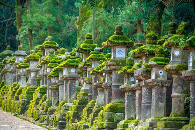 Arashiyama & Nara Highlights: One-Day Private Tour Adventure - Customer Feedback and Tour Experiences