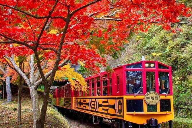 Arashiyama Sagano Romantic TrainFushimi Inari Taisha & Nara Park - Visiting Fushimi Inari’s Thousand Torii Gates