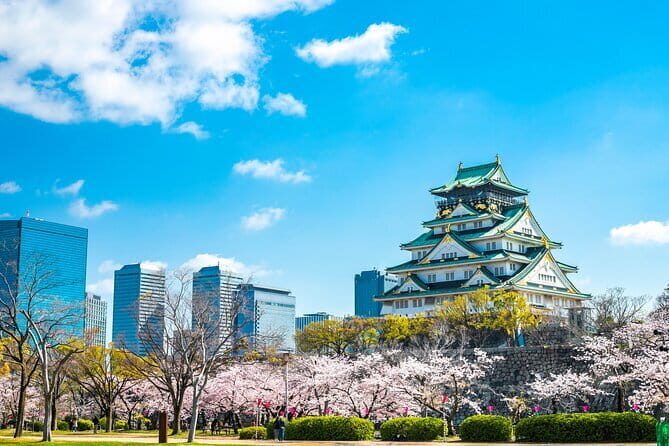 Arashiyama Sagano Romantic TrainFushimi Inari Taisha & Nara Park - Who This Tour Is Best For