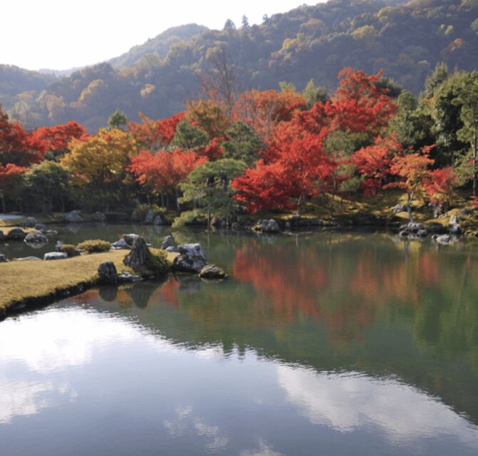 Arashiyama/Tenryu-ji Temple Guided Tour - Key Points