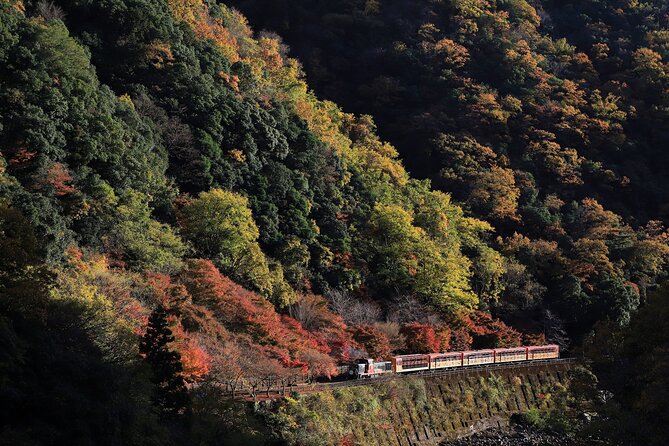 Arashiyama Walking Tour With Optional Sagano Romantic Train Ride - Exclusions