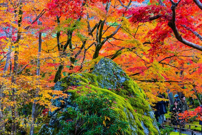 Arashiyama Walking Tour With Optional Sagano Romantic Train Ride - Customer Feedback