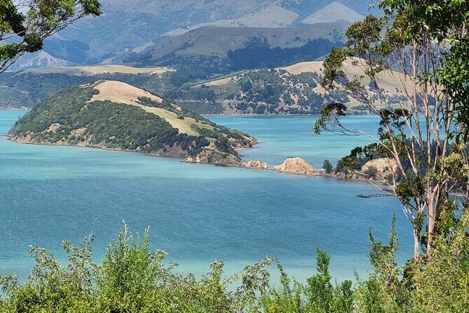 Arataki Conservation - our Journey to Protect our Whenua (land) - An In-Depth Look at the Tour