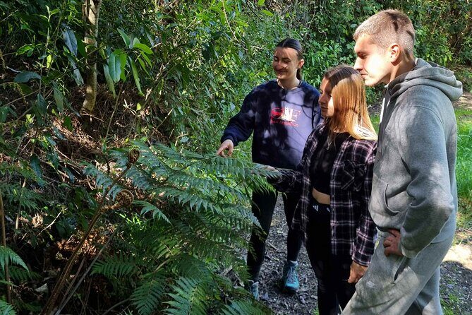 Arataki Conservation - our Journey to Protect our Whenua (land) - FAQ