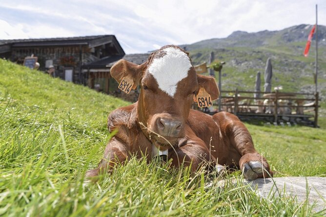 Aravis Massif and visit to Chamonix - A Closer Look at the Itinerary