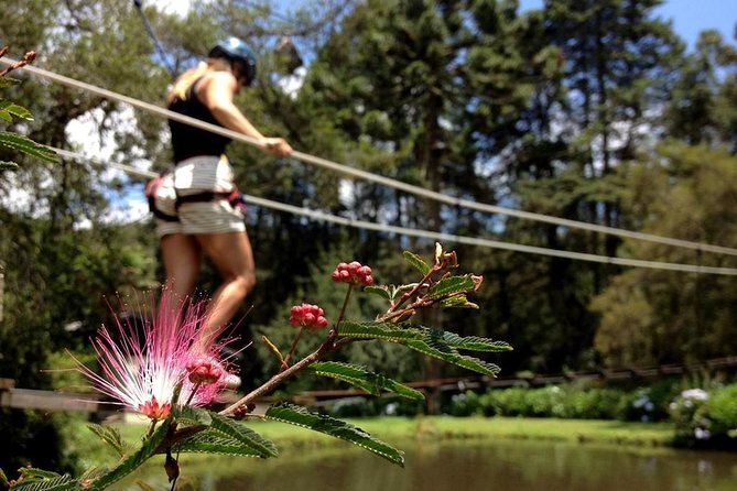 Arborism in Horto Florestal - Campos Do Jordão - Meeting Point and Schedule