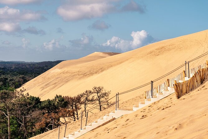 Arcachon Bay Full Day Trip From Bordeaux With Lunch and Pyla Dune - Customer Feedback