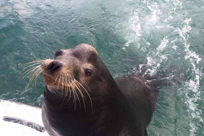 Arch Tour with Amazing Captain in Cabo San Lucas - Final Thoughts