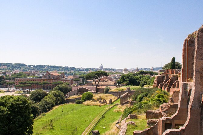 Archaeo Rome Guided Tour from the Roman Forum to Palatine Hill - What Makes This Tour Special?
