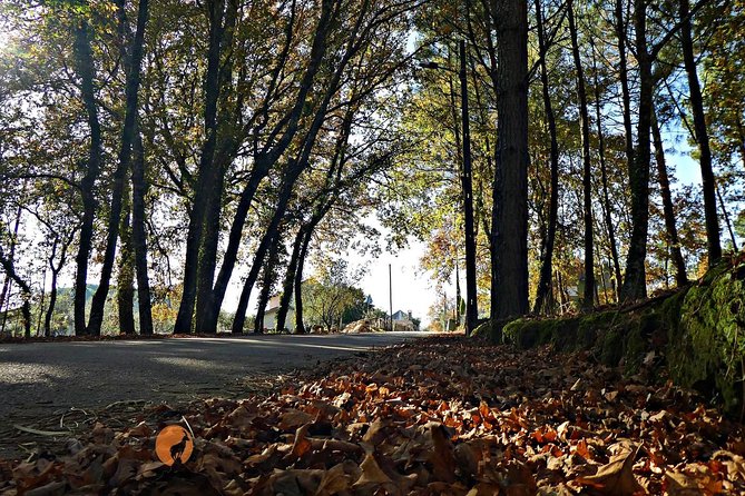 Archaeological Circuit of Fiais/Azenha and Cova da Moira - Practical Details and Considerations