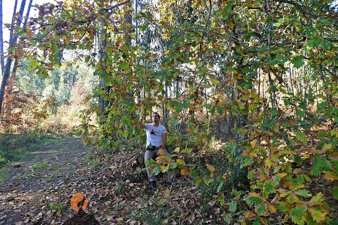 Archaeological Circuit of Fiais/Azenha and Cova da Moira - Who Will Love This Tour?