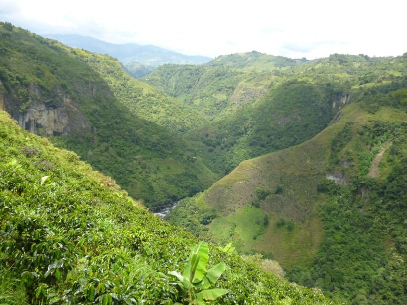 Archaeological Mountain Bike Tour to la Chaquira, Purutal,.. - Key Points