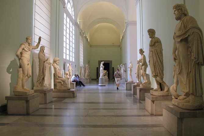 Archaeological Museum of Naples Private Tour - Highlights of the Museums Collections