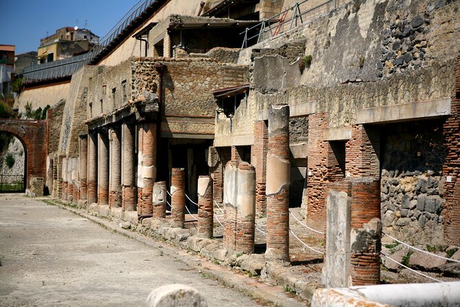 Archeological Herculaneum Private & Personalized Guided Tour - Reviews Speak Volumes