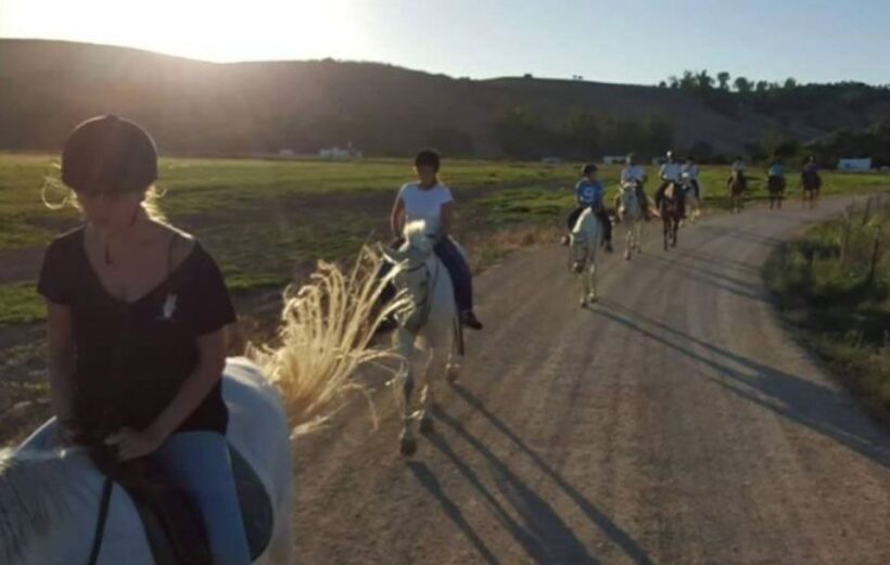 Arcos de la Frontera: Horseback Riding Experience - Who Will Enjoy This Experience Most?