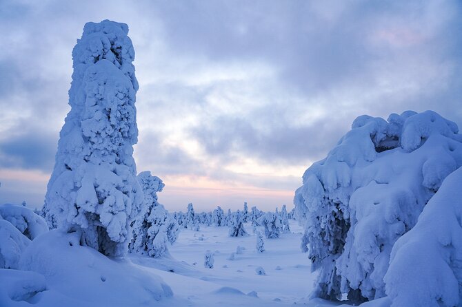 Arctic Adventure through Magical Frozen Forests of Riisitunturi - Final Thoughts