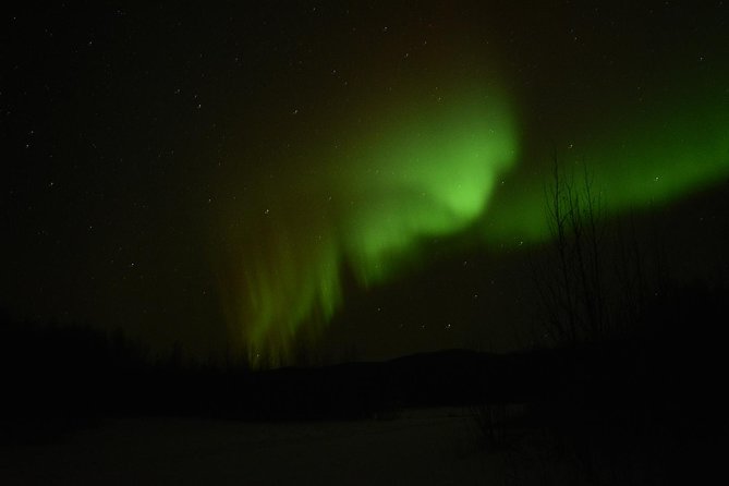 Arctic Circle and Northern Lights Tour from Fairbanks - Practical Tips for Travelers