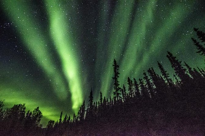 Arctic Circle and Northern Lights Tour from Fairbanks - FAQ