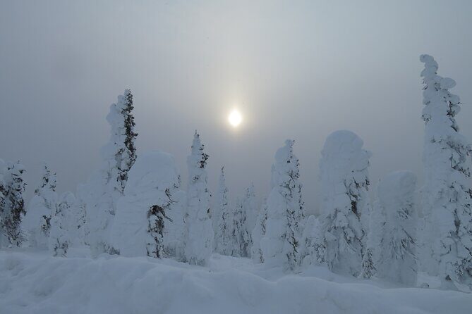 Arctic Circle Aurora Drive Adventure - Final Thoughts: Is the Arctic Circle Aurora Drive Worth It?