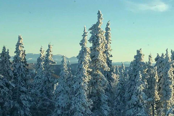 Arctic Circle Day Trip from Fairbanks with Transportation - The Sum Up