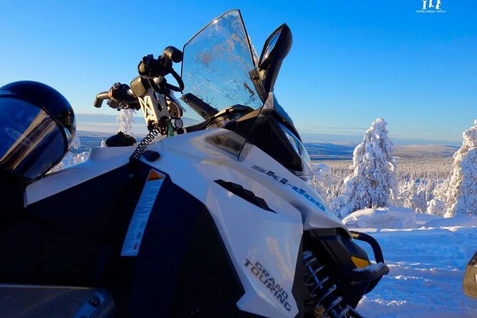 Arctic Circle Family Day - Reviews and Traveler Feedback