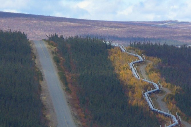 Arctic Circle Full-Day Adventure From Fairbanks - Important Considerations for Participants