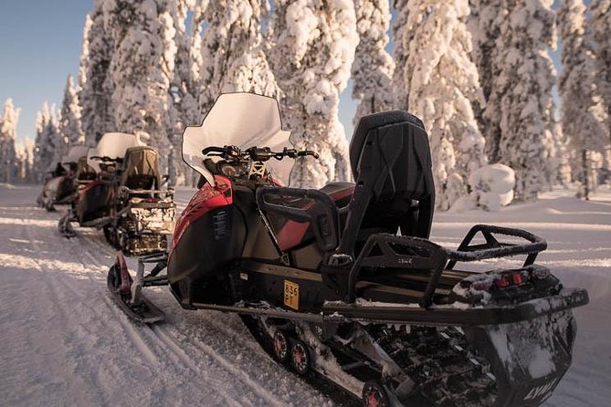 Arctic Circle Snowmobile Safari for Beginners in Rovaniemi - Participation Requirements for Snowmobile Drivers