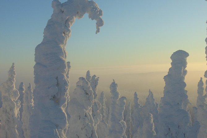 Arctic Circle Winter Drive Adventure - Itinerary Highlights