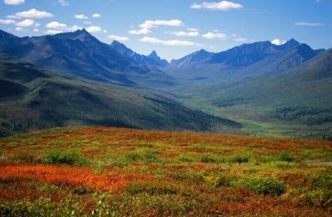 Arctic Day: Hiking Tour | half day - Key Points